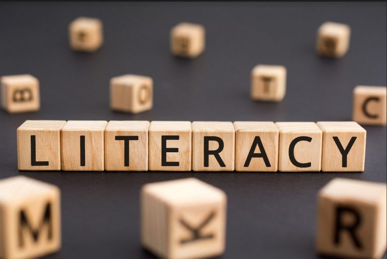 How to Promote Data Literacy Across Your Team? - 2024